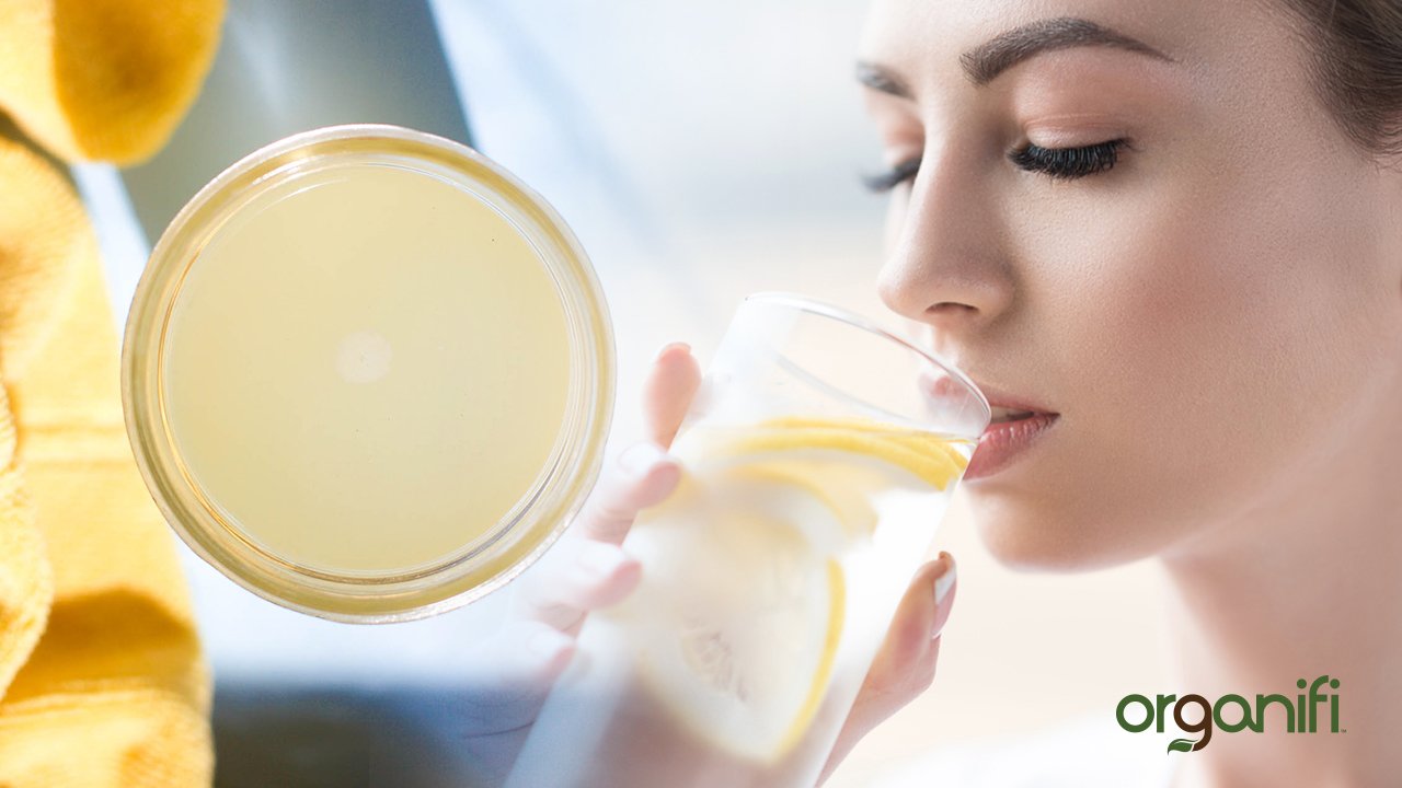 Optimize Brain Health & Gut Function With Superfood Blend Organifi Pur ...